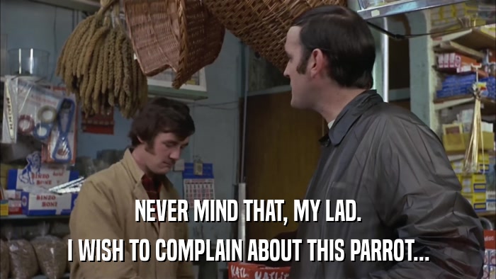 Monty Python | GIFGlobe
